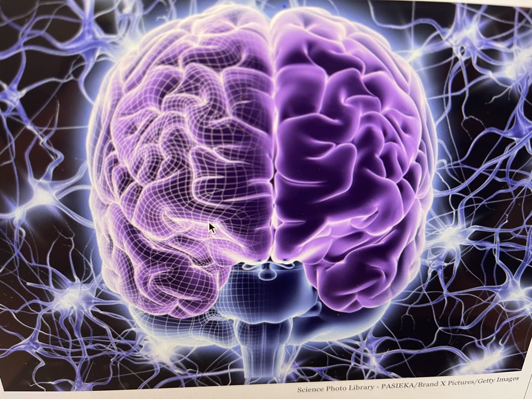 The Neurobiology of Trauma – Burke Community Church